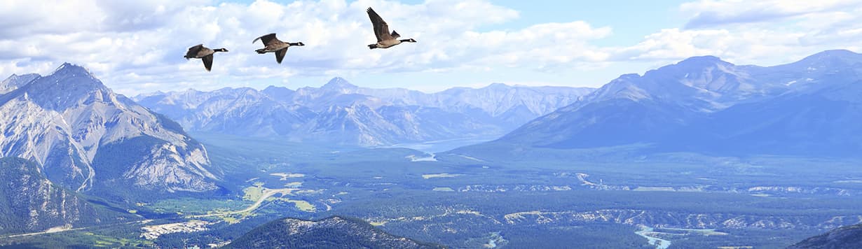 The 34 Most Breathtaking Places in North America | Expedia